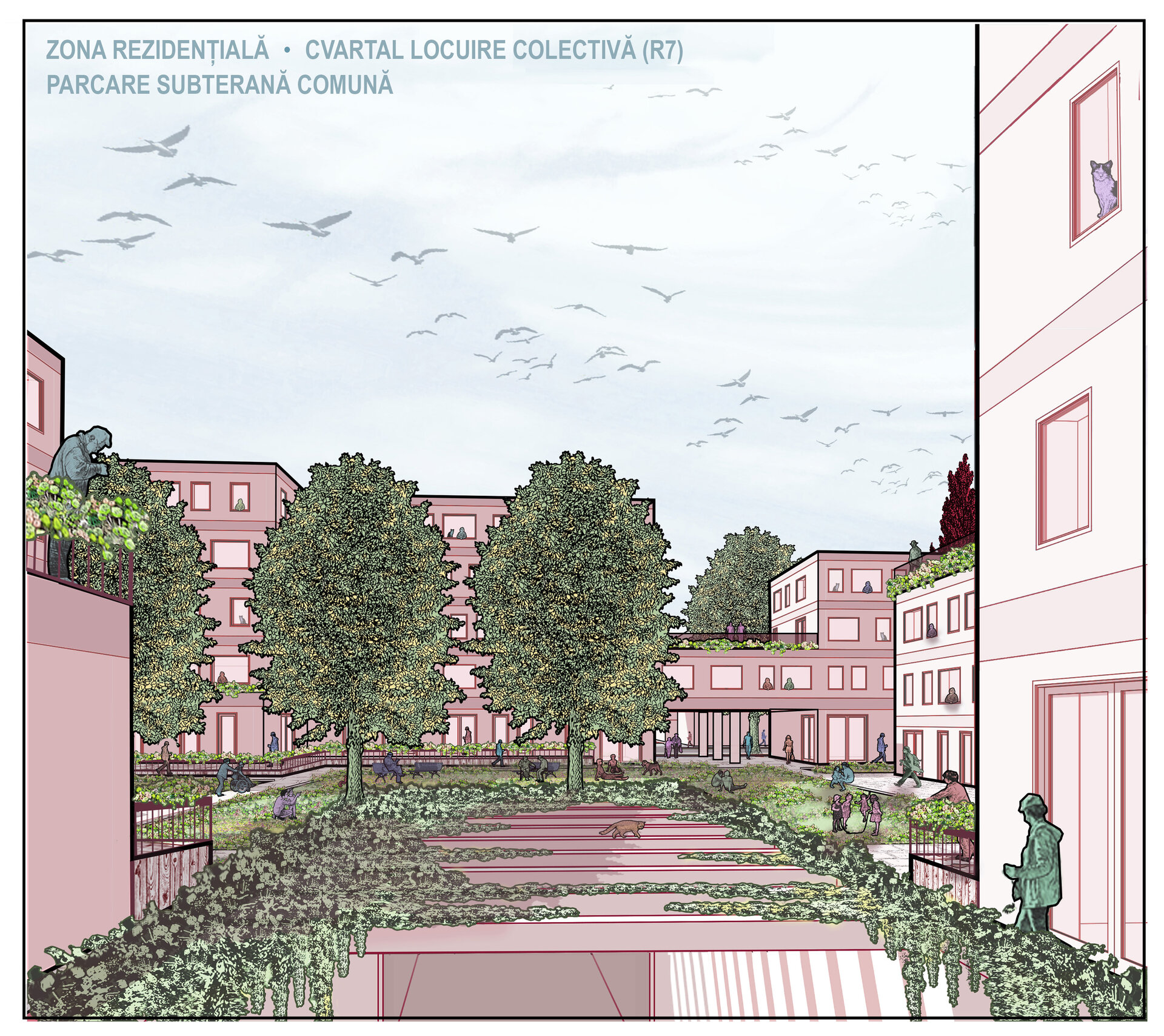 Revitalizarea urbană a zonei comerciale mixte PIAȚA MEHALA din ...