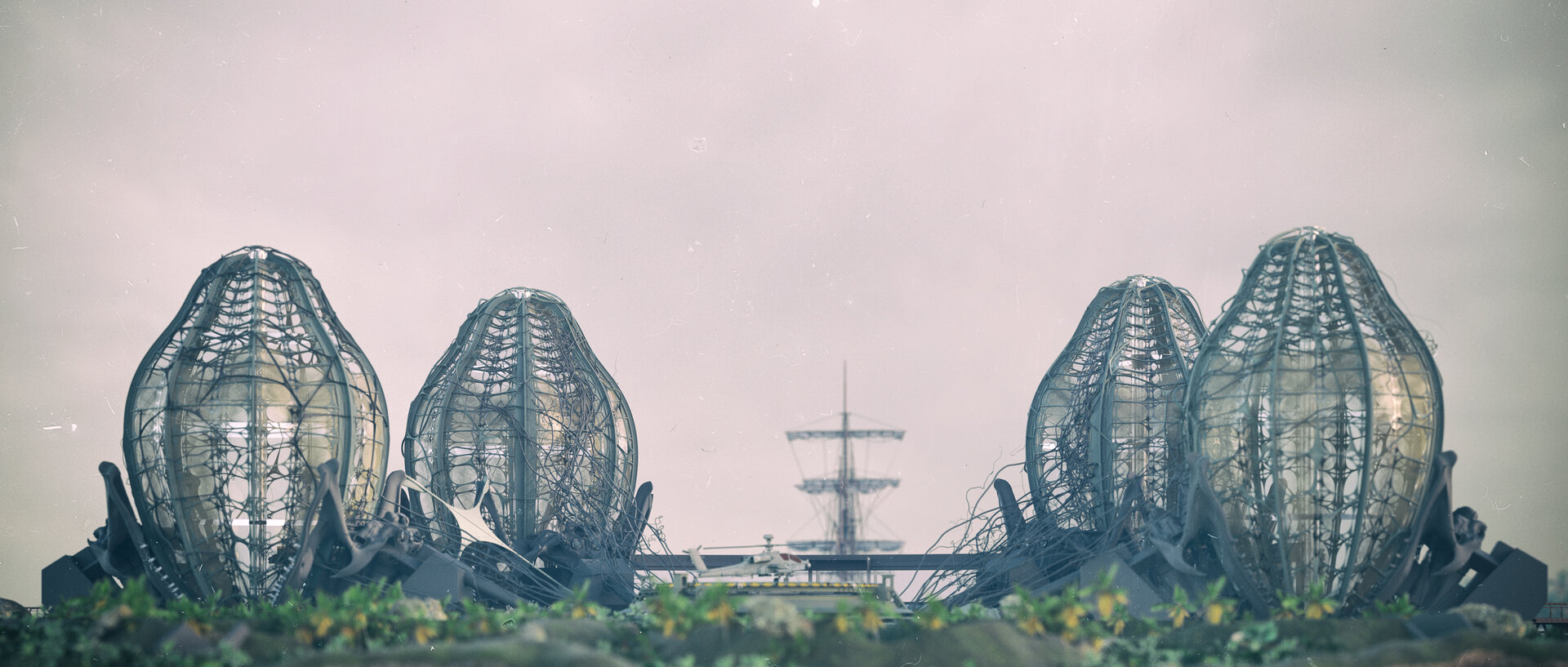 1111 Locuința Fluture Monarh