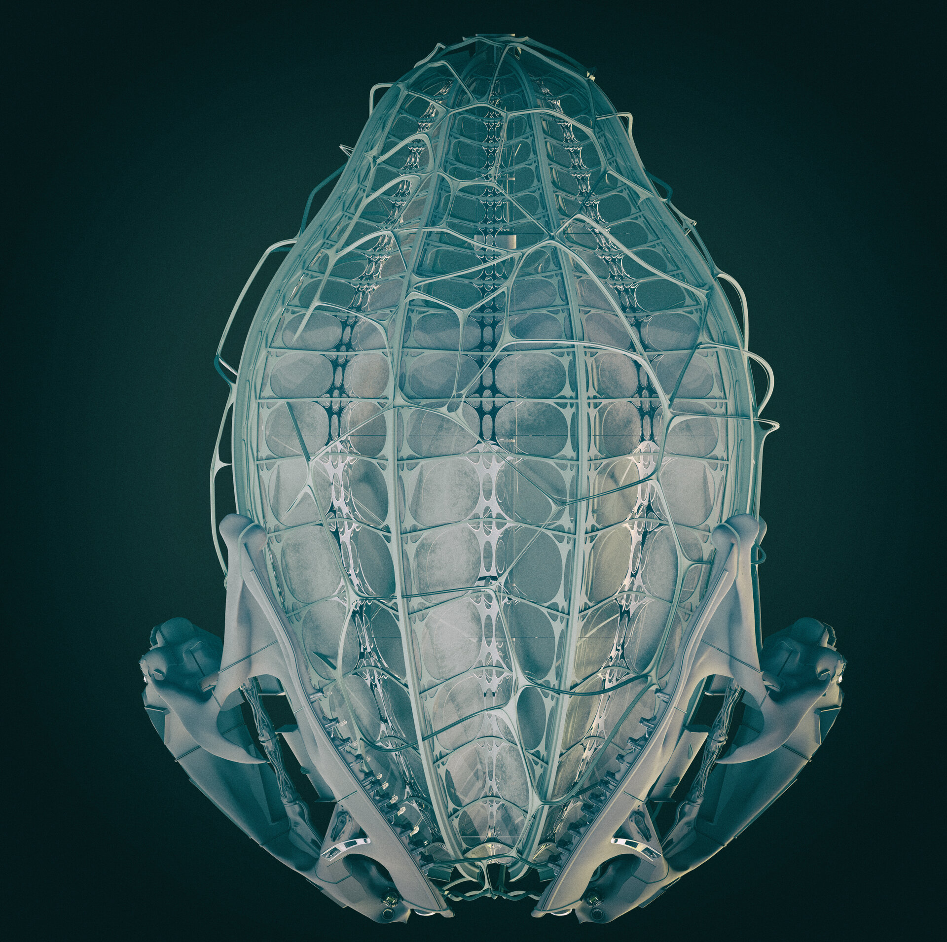 1111 Locuința Fluture Monarh